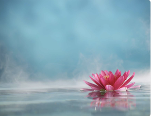 WEEKLY GUIDED MEDITATION with Marion Gilbert - Somatic Enneagram ...